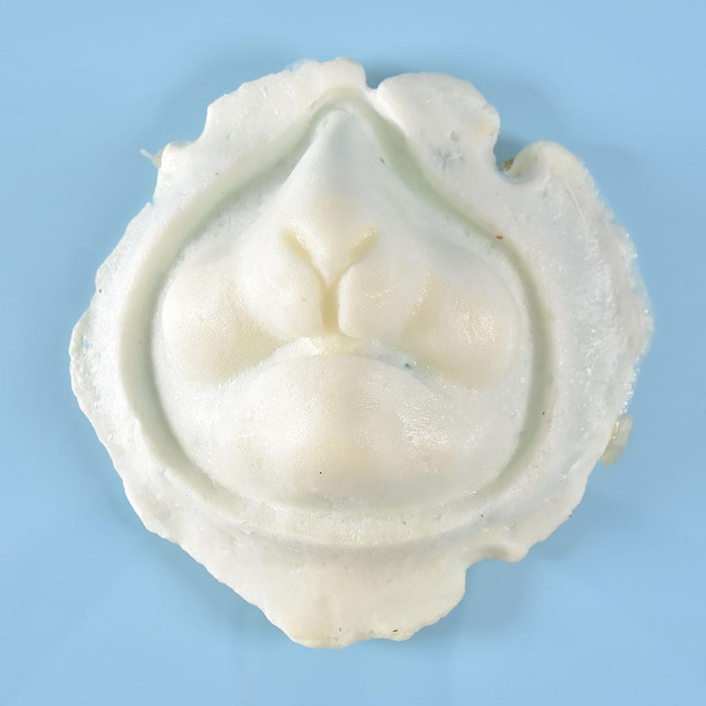 Prostético de Conejo Artist | Artist City